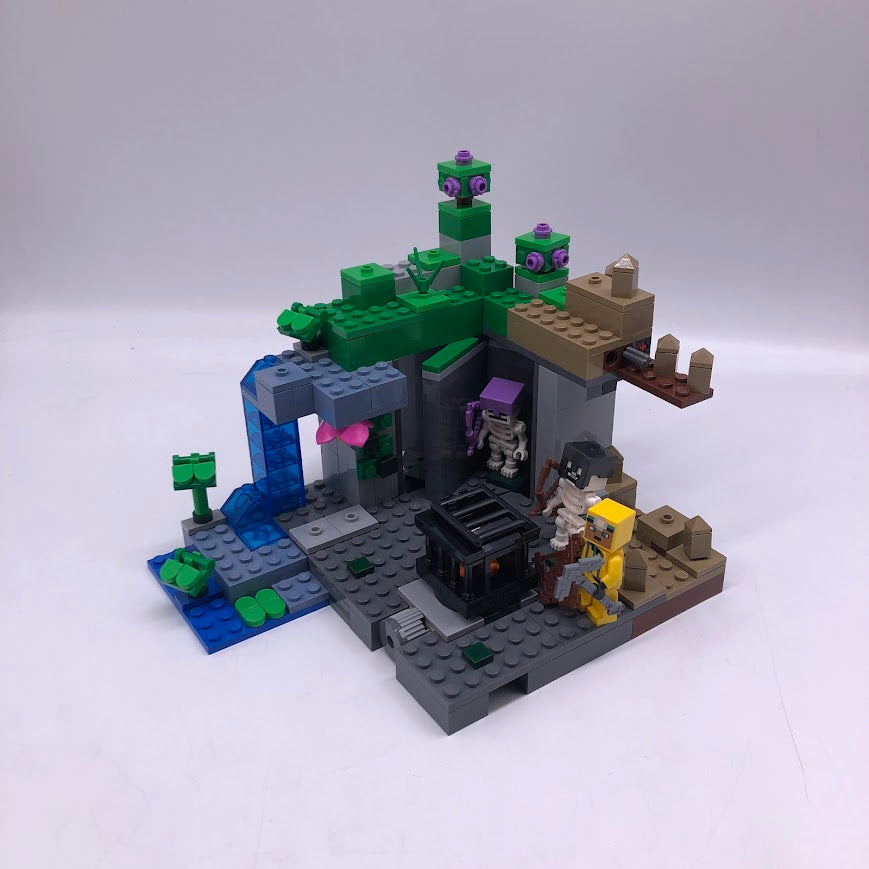 The Skeleton Dungeon 21189 - Used LEGO Minecraft Set – Bricks ...