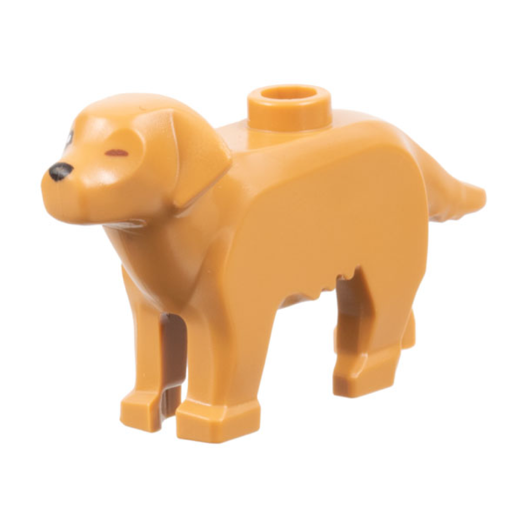 Dog, Labrador / Golden Retriever – Bricks & Minifigs Eugene