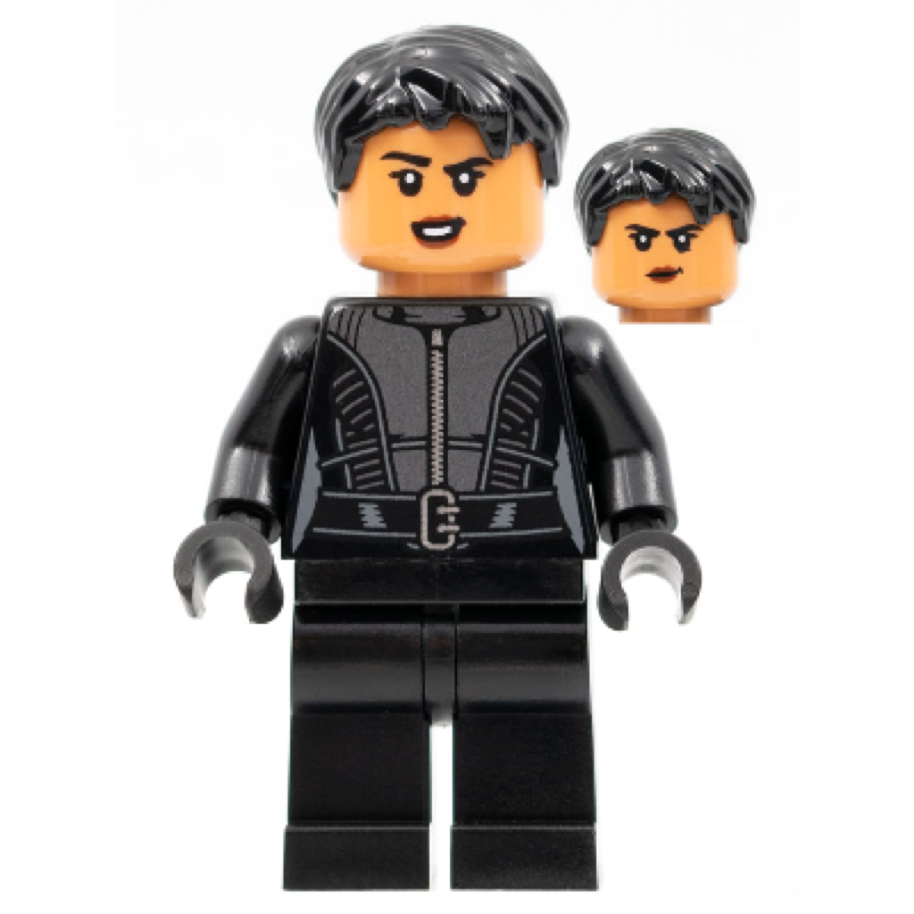 Selina Kyle - LEGO® Batman™️ Minifigure – Bricks & Minifigs Eugene
